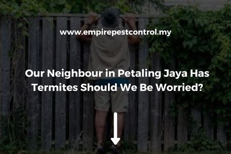 Our Neighbour In Pj Has Termites Should We Be Worried