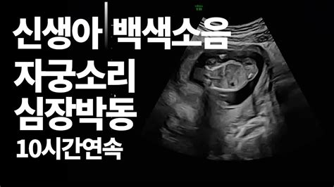 Womb Sound