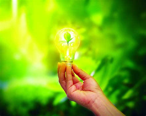 Making World Greener