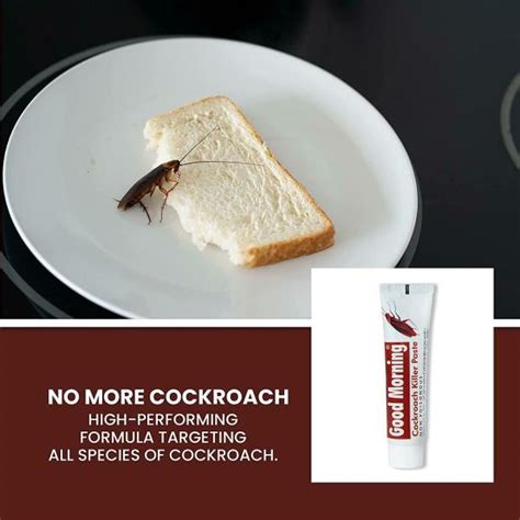 Good Morning Cockroach Killer Paste 240 G Pack Of 4 Jiomart