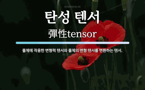 탄성 텐서 뜻 물체에 작용한 변형력 텐서와 물체의 변형 텐서를 변환하는 텐서