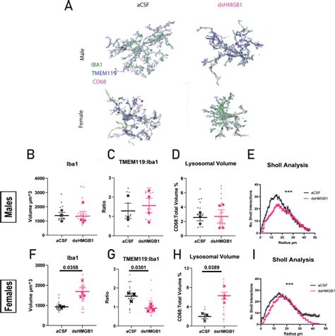 Sex Specific Regulation Of Microglial Myd88 In Hmgb1 Induced Anxiety