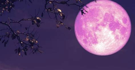 Luna Rosa De Abril 2024 ¿cuándo Se Podrá Ver En México Y Qué