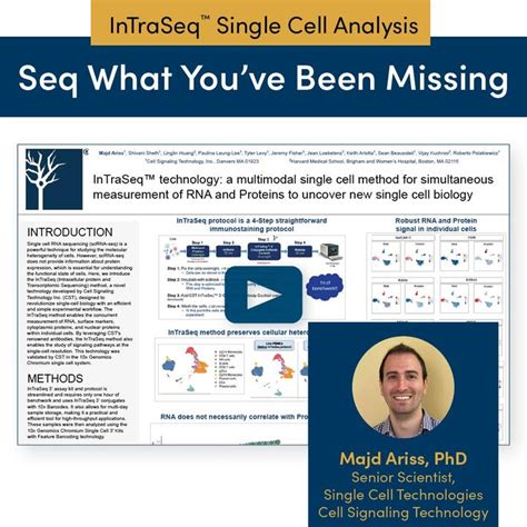 Intraseq™ Single Cell Cell Signaling Technology Inc
