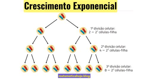 Relação Entre Mmc E Mdc