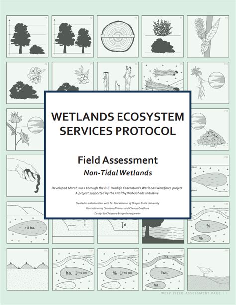 Wetlands Ecosystem Services Protocol Field Assessment Form For Non