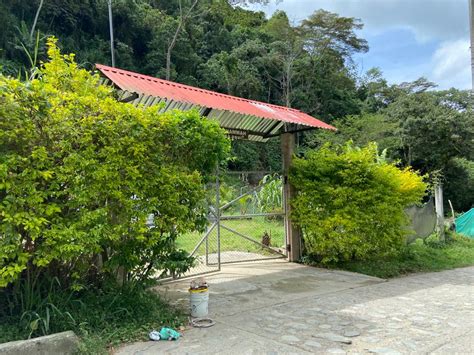 Vereda Cay Inmobiliaria Rosalba Rocha