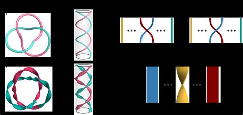 Brief Description Of Braids And Knots A A Classical Knot Can Be