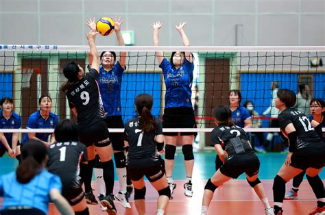 2024 전국생활체육대축전 성황리에 폐막 무예신문 대한민국 대표 무예체육뉴스