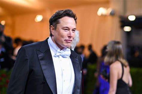 Elon Musk Makes Wiener Joke With Youtube Founder Amid Sexual Assault