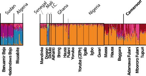 structure plot of ancestral allele clusters aac for sampled download scientific diagram