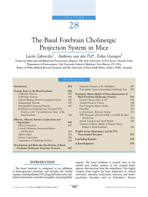The Basal Forebrain Cholinergic Projection System In Mice Chapter 28