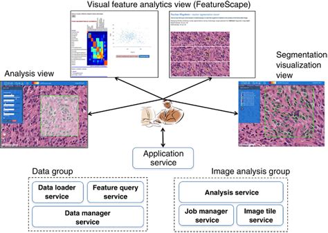 Figure 1 From A Containerized Software System For Generation Management And Exploration Of Figure 1 From A Containerized Software System For Generation Management And Exploration Of
