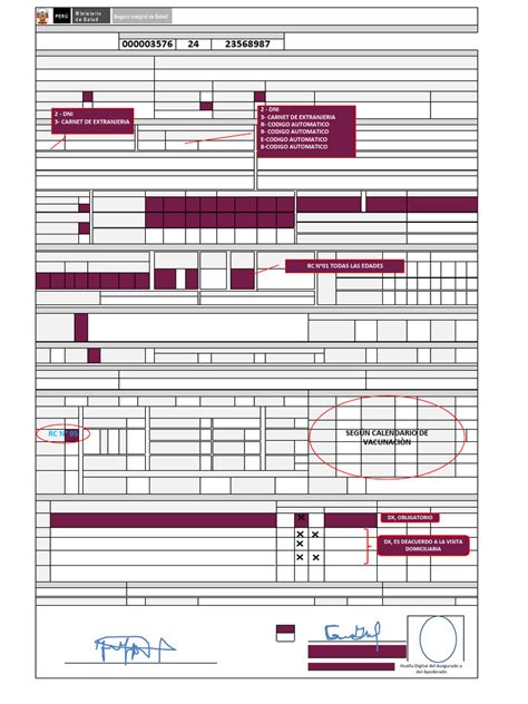 Formato Único De Atención Fua Pdf Ciencias De La Salud Cuidado