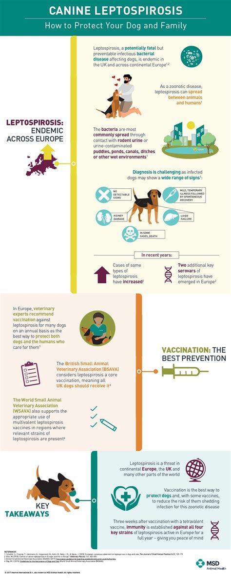 How Do Dogs Get Leptospirosis