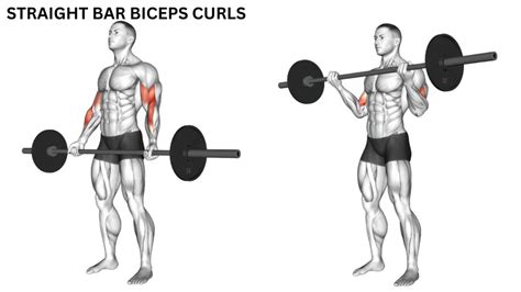 Standing Dumbbell Bicep Curl