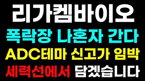 리가켐바이오 세계최대 Adc파이프라인 급락장에 절대 안죽네요 세력선 여기서 같이 담겠습니다 10만원 반드시 갑니다