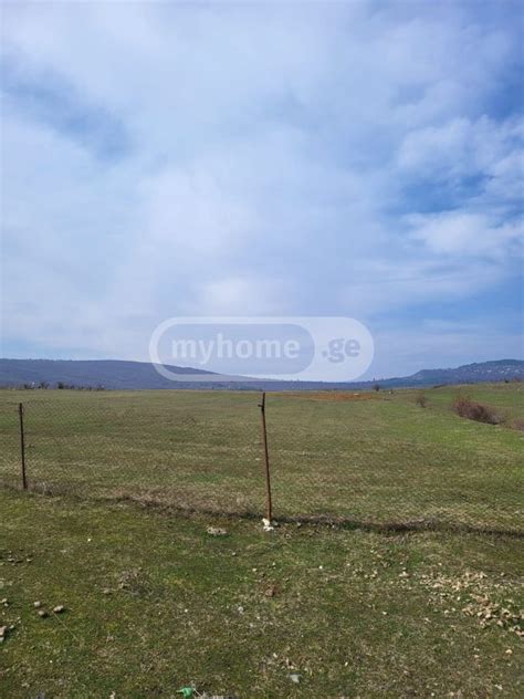 იყიდება სასოფლო სამეურნეო მიწის ნაკვეთი ტაბახმელაში Myhome უძრავი ქონების ყიდვა გაყიდვა