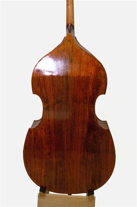 Shen Sb200 Willow 34 Flatback Bowed String Shop