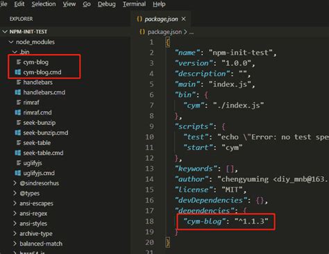 你应该了解的npm知识 Chengyuming