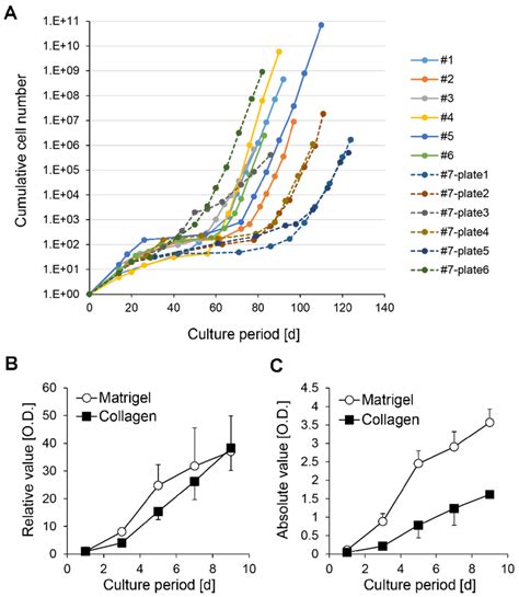 Inter Batch And Intra Batch Variation Of Growth Rate Of Clips During