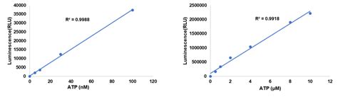 Luminescent Atp Detection Assay Kit Luminescent Atp Detection Assay Kit
