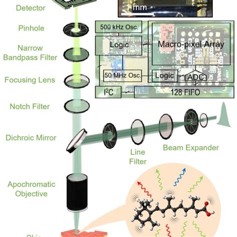Schematic Of Spectroscopy Less Raman Shift Detection System Download