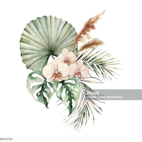 수채화 열대 꽃다발과 나초와 야자수 잎 손으로 그린 꽃 코코넛과 몬스터 잎 팜파 잔디 디자인 인쇄를 위해 흰색 배경에 고립 된 꽃 일러스트 난과 식물에 대한 스톡 벡터 아트