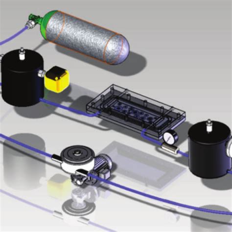 Development Of A Dynamic Bioreactor For Cancer Metastasis Research