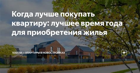 Когда лучше покупать квартиру лучшее время года для приобретения жилья Кайли — квартиры в
