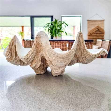 Coastal Clam Shell Medium Resin Coastal Boheme Collective