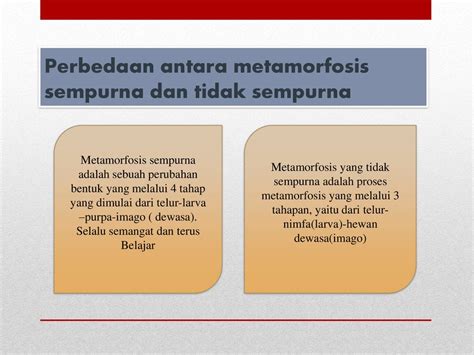 Perbedaan Metamorfosis Sempurna Dan Metamorfosis Tida