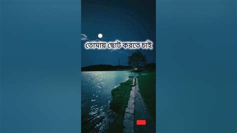 জীবনে কখনো হেরে যাবেন নাshortvideo Shortsfeed Motivationalvideo
