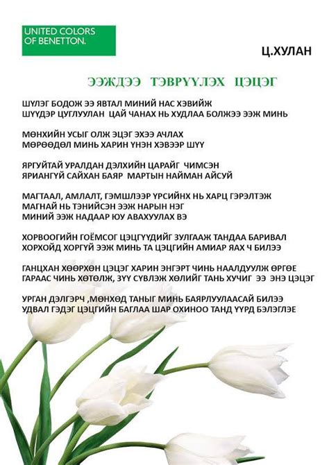 Shuudertsetseg Ц Хулан андын шүлэг