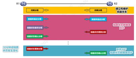 ospf协议及链路状态算法（详解） ospf算法 csdn博客