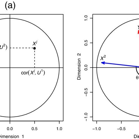 Correlation Circle Plota Coordinates Of The X Variables On The Plane