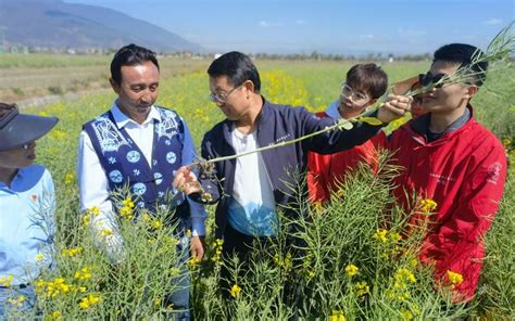院士馆 中国工程院院士 农业学部 张福锁