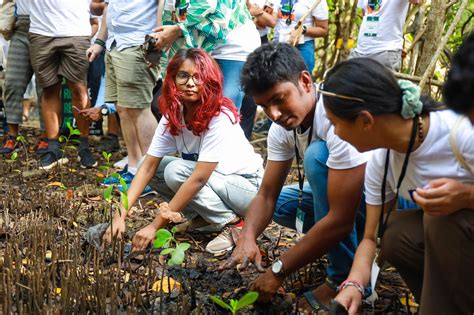 Policy Coherence Between Climate Risk Mitigation And Energy Sectors In Sri Lanka Key