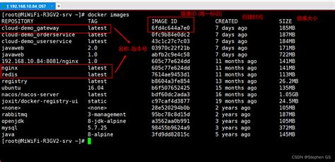 Docker二 Docker 的基本操作docker环境加压 Csdn博客