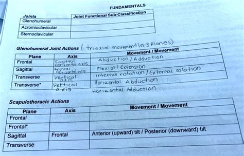 Solved Fundamentals Joint Functional Sub Classification Joints