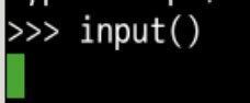 oeasy python 如何接收输入 input函数 字符串 str 容器 输入输出 阿里云开发者社区