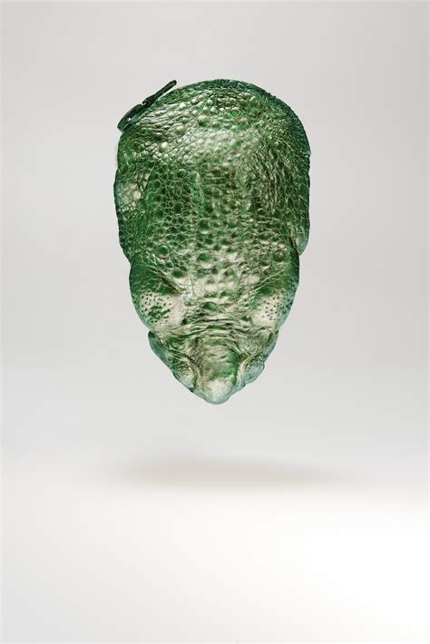 Kobja I By Monika Jarosz Kobja I By Monika Jarosz