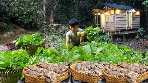 Gardening Harvesting Vegetables Find Frog Goes To Market Sell Cooking Year Living Off Grid
