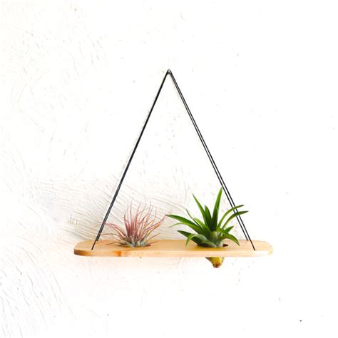 Maple Reclaimed Air Plant Holder