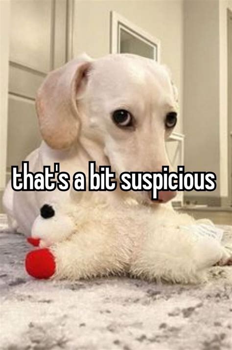 Weewoo Sideblog On Tumblr