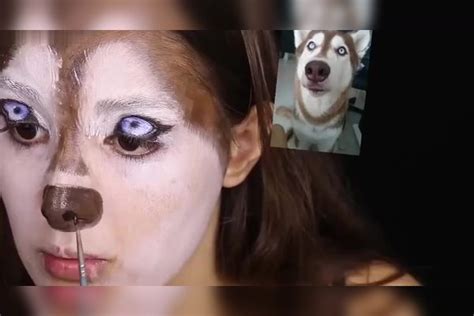 美女化妆成为 人面狗”，二哈看后还认识自己吗？看完别笑人面化妆美女