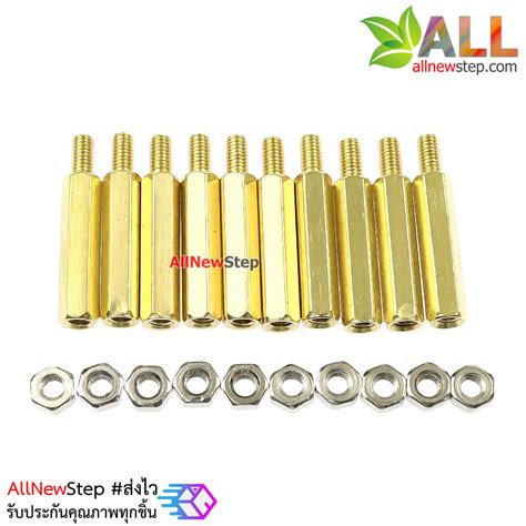 น็อตทองเหลืองตัวผู้และตัวเมีย 3mm 206mm Pillars Nut M3 10 คู่
