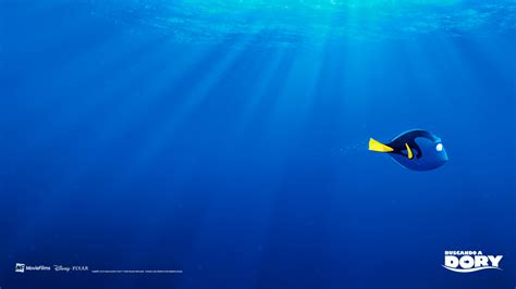 🔥 [70 ] Finding Dory Wallpapers Wallpapersafari