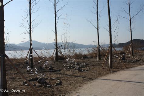2017 The Space74 솟은 날개 Towering Wings 두물머리 Sitespecific Kim Soonim