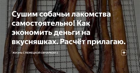 Сушим собачьи лакомства самостоятельно! Как экономить деньги на ...